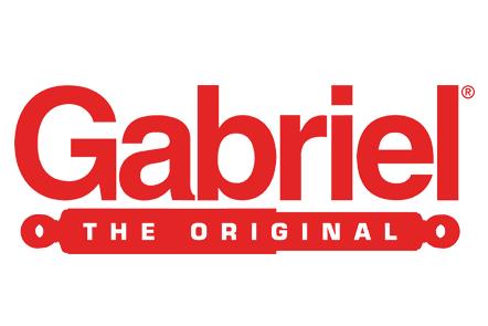 Gabriel Shocks & Struts - LMR.com