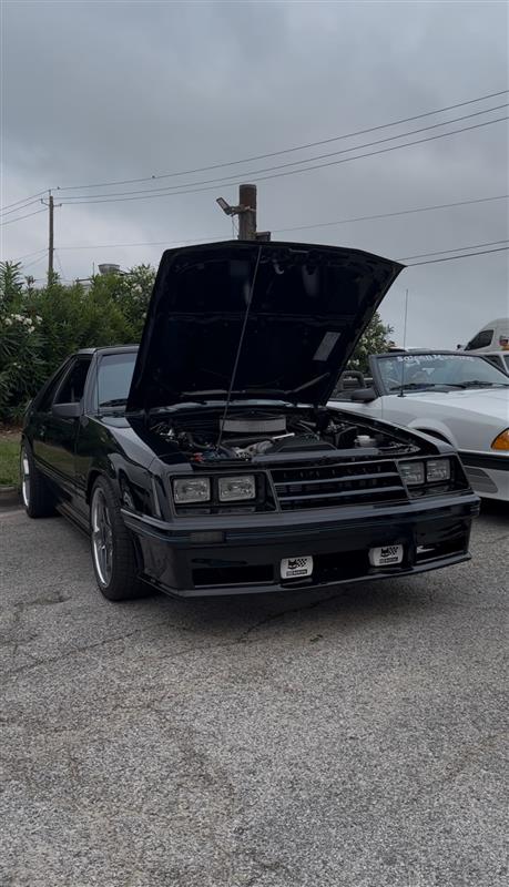 Mustang Week Texas 2025 Presented By LMR - LMR.com