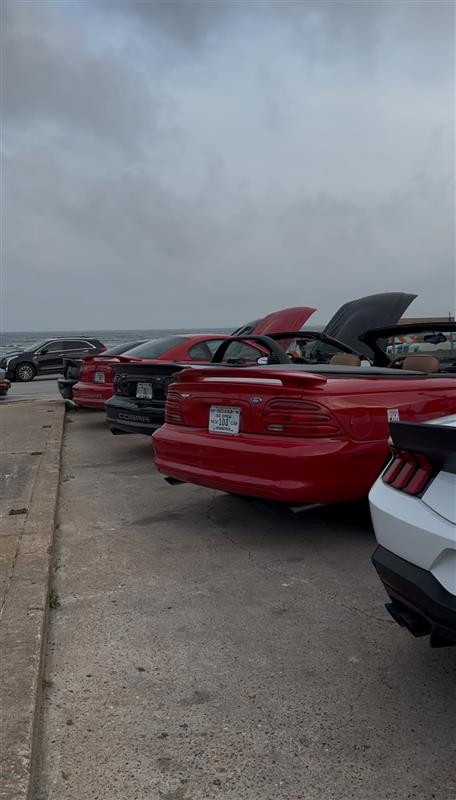 Mustang Week Texas 2025 Presented By LMR - LMR.com
