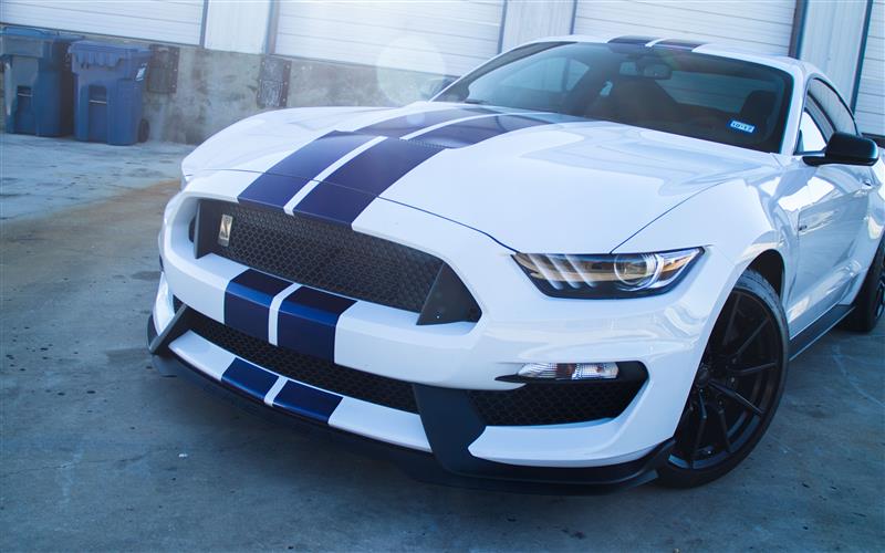 2016-2022 Mustang GT350 & GT500 Racing Stripe Color Guide